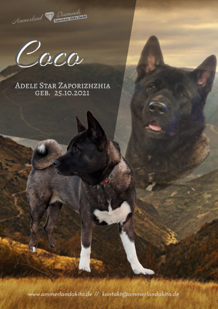 Coco - Ammerland Diamonds